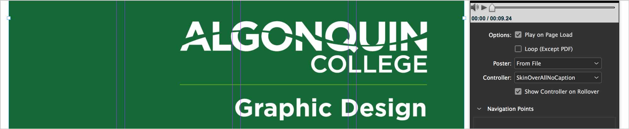 AC Computer Graphics Interactive InDesign
